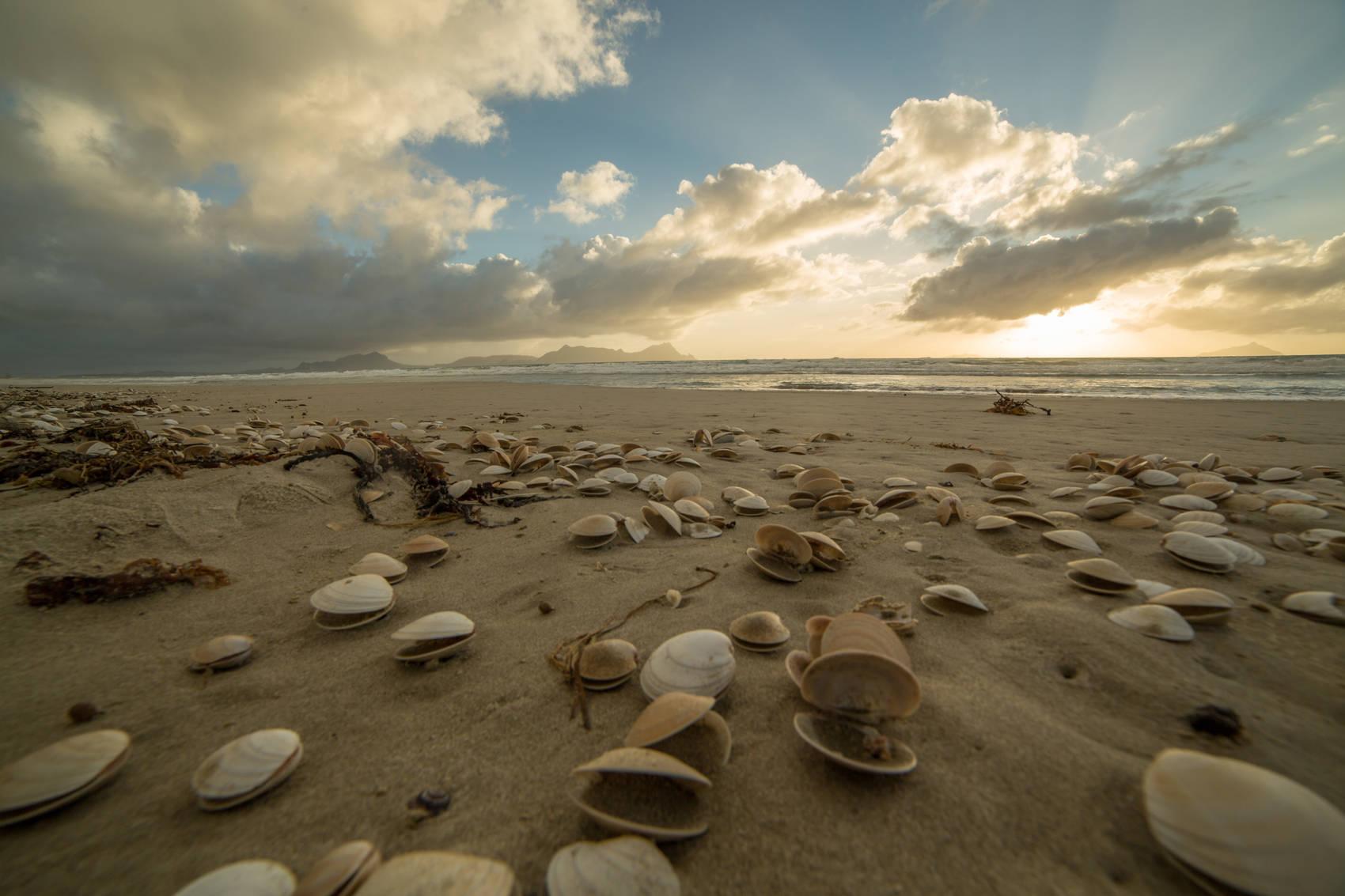 Western Australia and the undiscovered coast