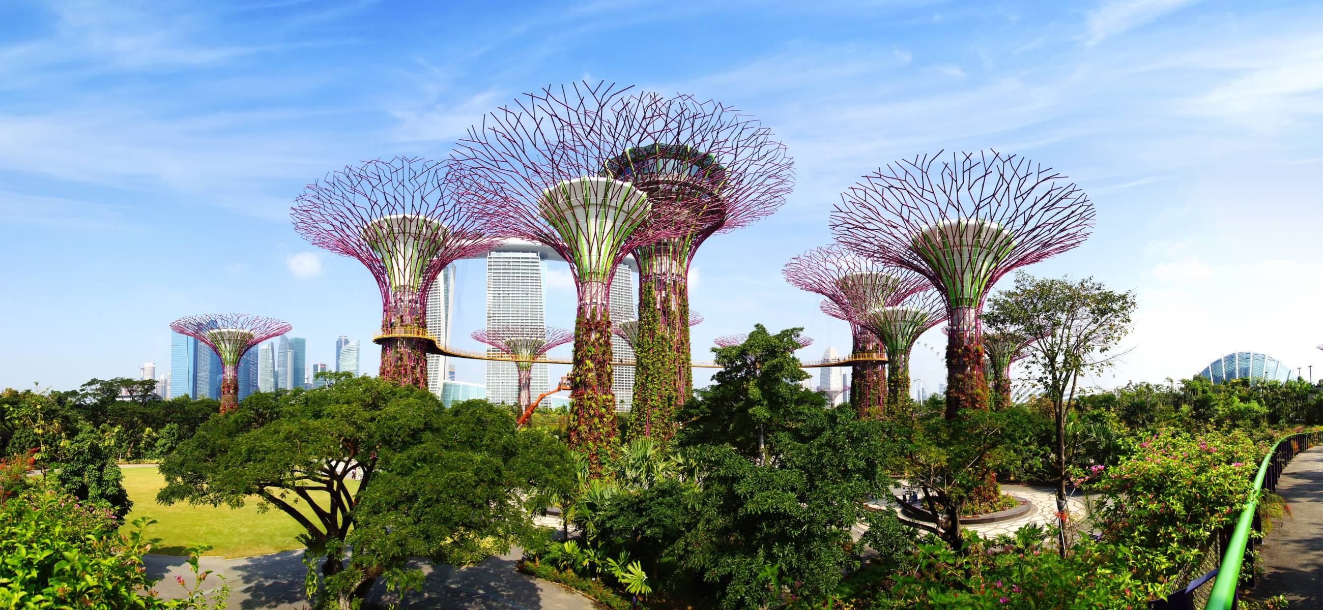 Why You Should Be Visiting Gardens by the Bay