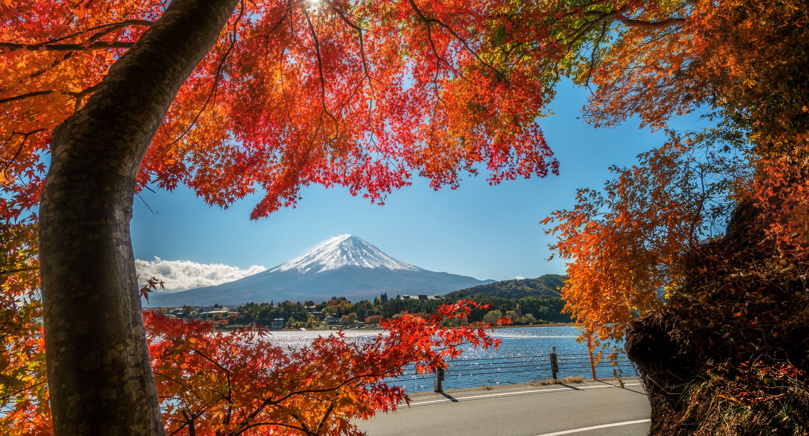 Autumn in Japan – Seeking Out Tokyo’s Colours